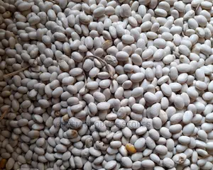 Beans in Uganda for sale Prices on Jiji.ug