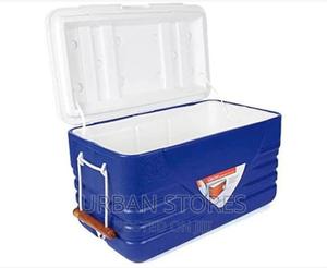 Insulated Water Cooler Ice Chiller Box 100L,Blue. in Central Division ...