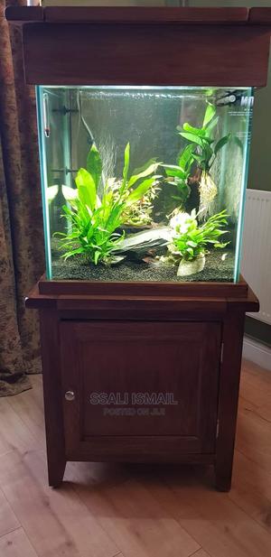 An Aquarium With the Best Setting and Best Plants and Gravel for sale ...