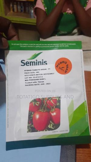 Ansal F1 Tomato Seeds 2500 Seeds in Central Division - Feeds ...