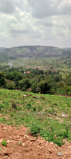 Property in Uganda for rent & sale Real Estate price in December 2023 ...