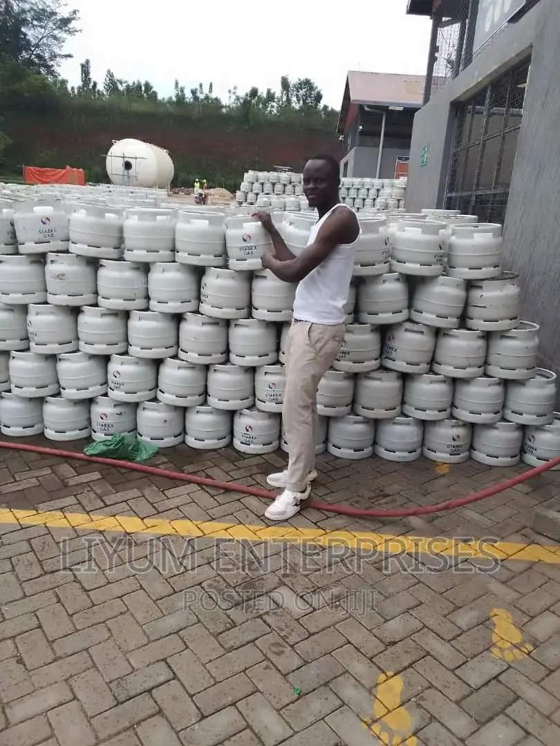 Stabex Gas Official 1 in Central Division - Kitchen Appliances, Liyum ...