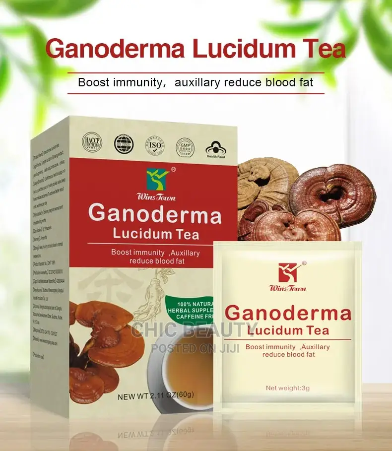 Ganoderma Lucidum Tea Boost Immunity Tea 20 Tea Bags in Central ...