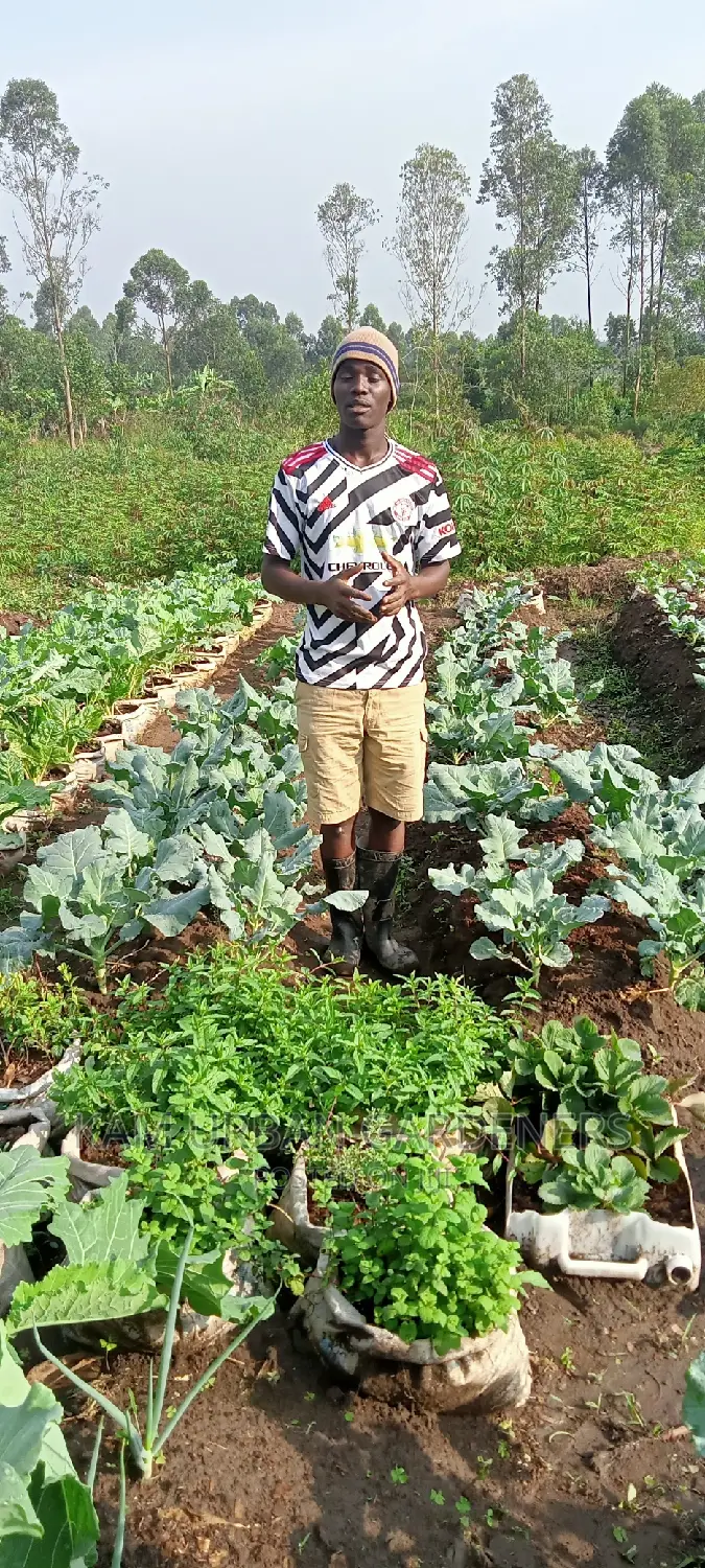 Organic Farming Training in Bombo TC - Classes & Courses, Kam Urban ...
