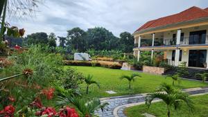 Expert Compound Designing Service in Nakawa - Landscaping & Gardening ...