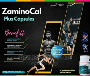 Zaminocal Plus Capsules in Central Division - Vitamins & Supplements, M ...