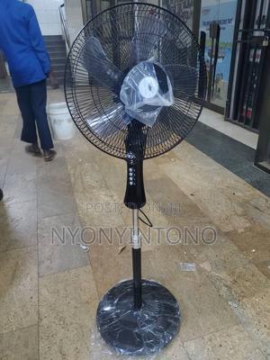 Cytech Crown Fan and Timer Which Is Strong and Adorable in Central ...