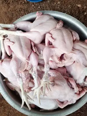 Chickens in Uganda for sale Prices on Jiji.ug