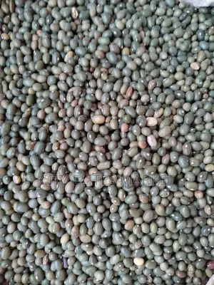 Beans in Uganda for sale Prices on Jiji.ug