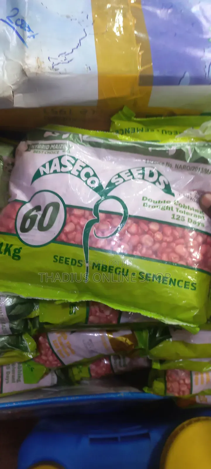 Naseco Hybrid Maize 125dqys to Mature in Central Division - Feeds ...