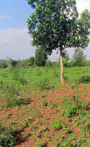 27 Acres With a Land Title in Busika Kalagala in Kalagala - Land ...