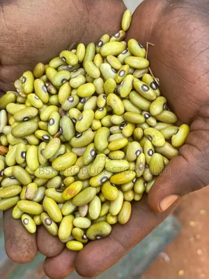 Beans in Uganda for sale Prices on Jiji.ug