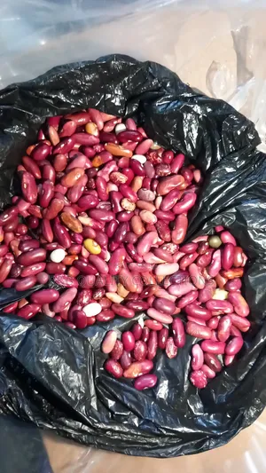Beans in Uganda for sale Prices on Jiji.ug