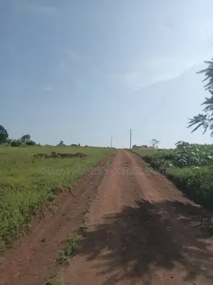 Land & Plots for Sale in Uganda Prices in July 2025 on Jiji.ug