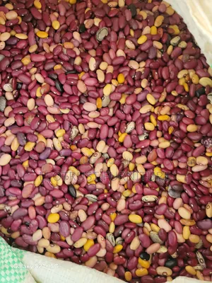 Beans in Uganda for sale Prices on Jiji.ug