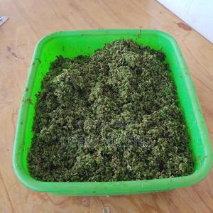 Azolla,Hydroponic Fodder and Black Soldier Fly Farming in Central ...