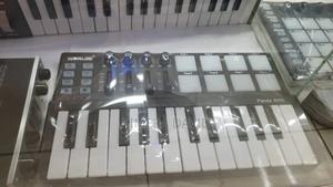 Panda Worlde 25 Keys Usb Midi Controller in Central Division - Audio ...