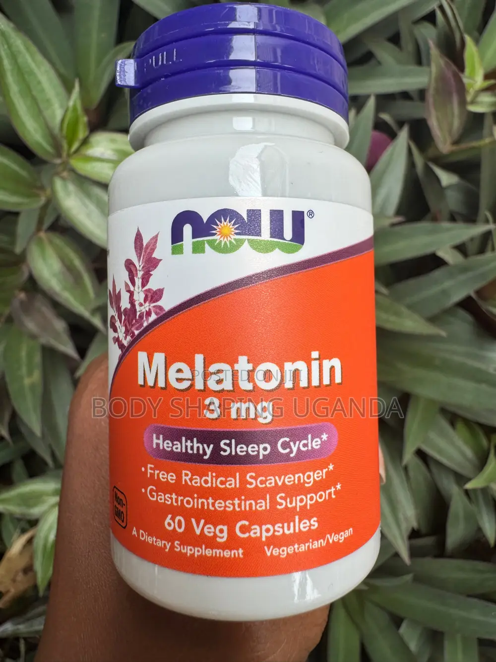 Now Melatonin(Sleep Supplements)Insomnia 60capsules in Central Division ...