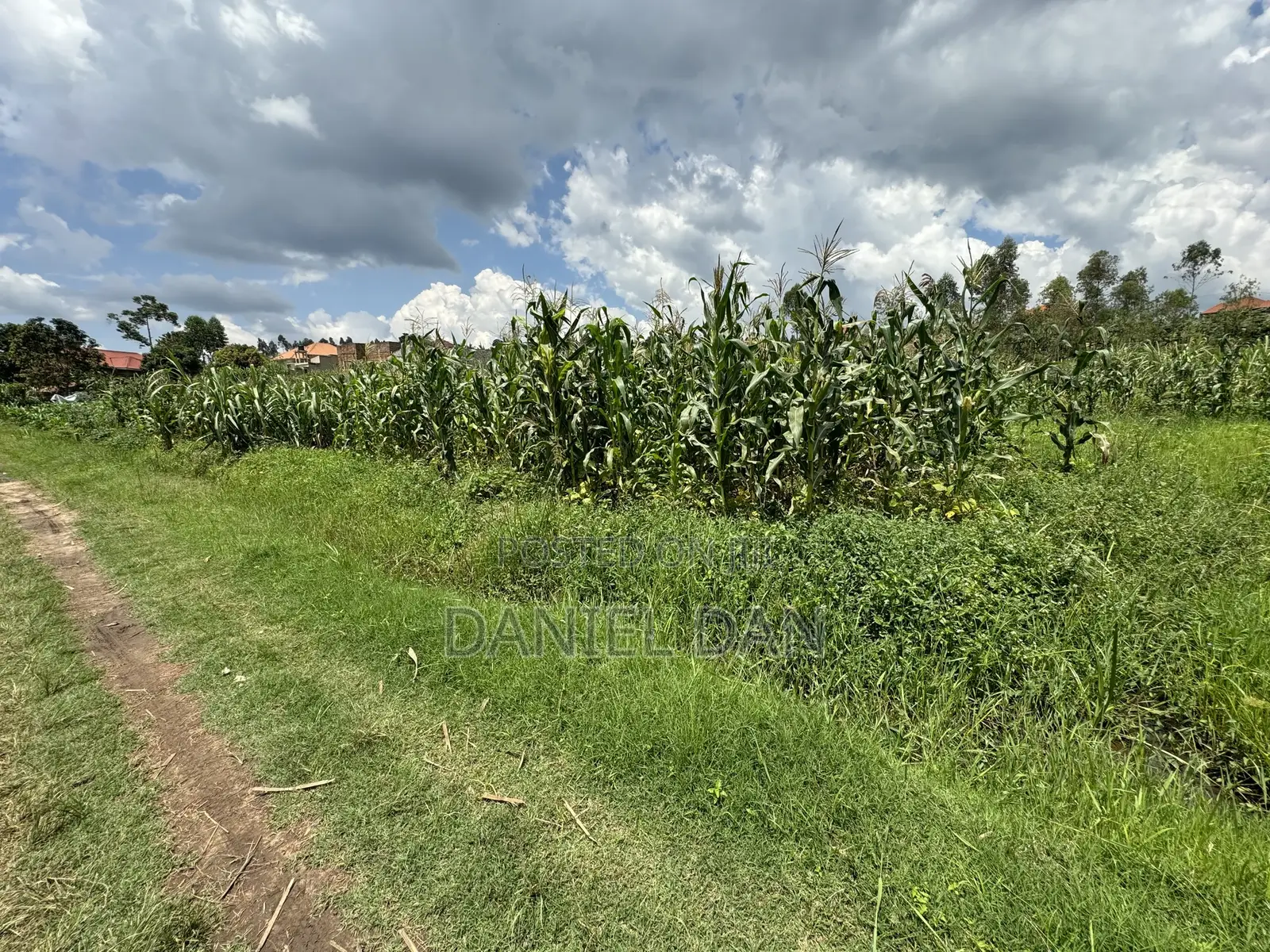Kasangati 50*100 Plots in Prime Area(Only 2 Plots Left) in Wakiso ...