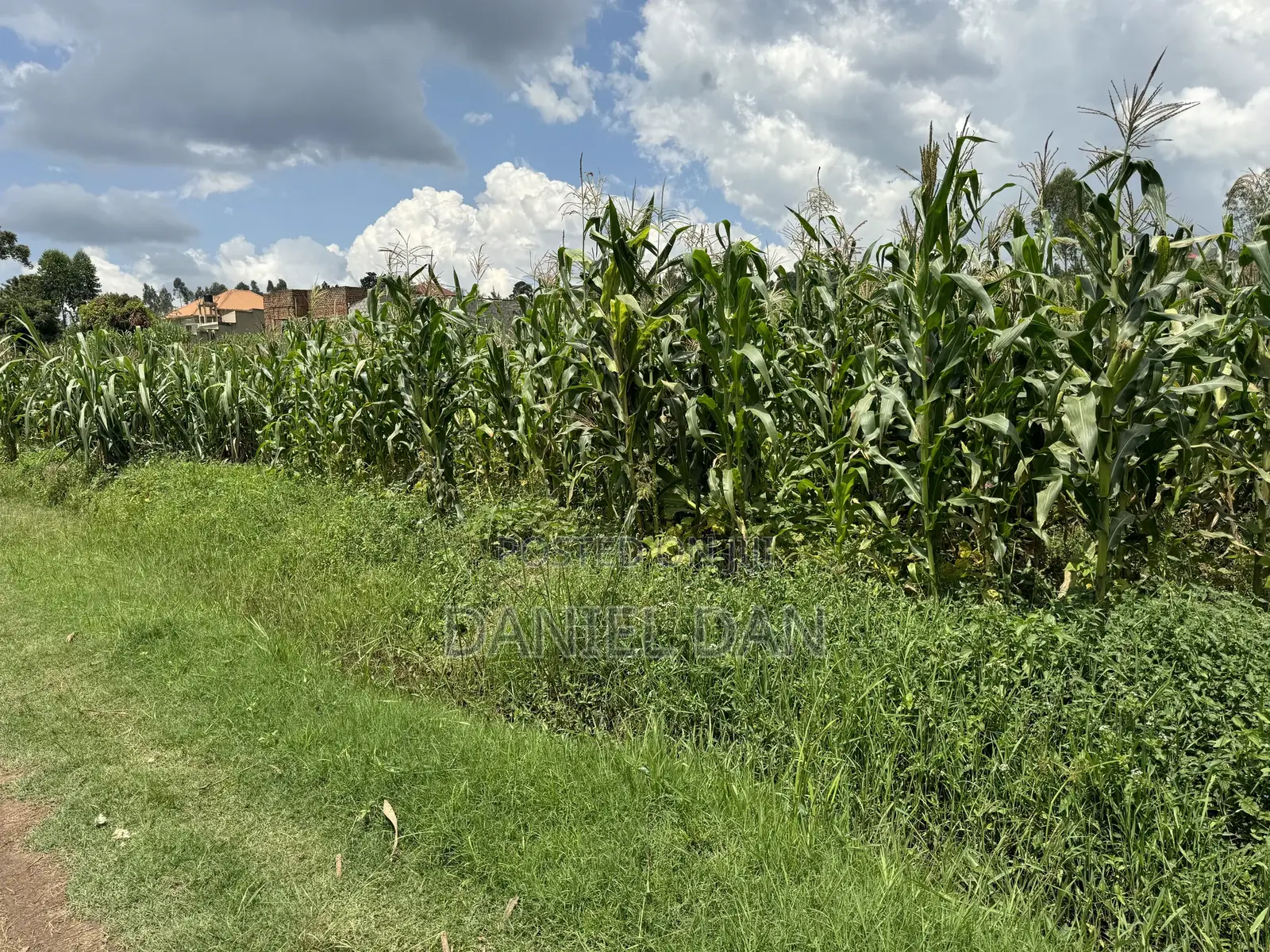 Kasangati 50*100 Plots in Prime Area(Only 2 Plots Left) in Wakiso ...