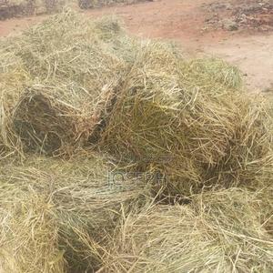 Hay Grass New Stock for sale - Joseph Price: USh 12,000 on Jiji.ug ...