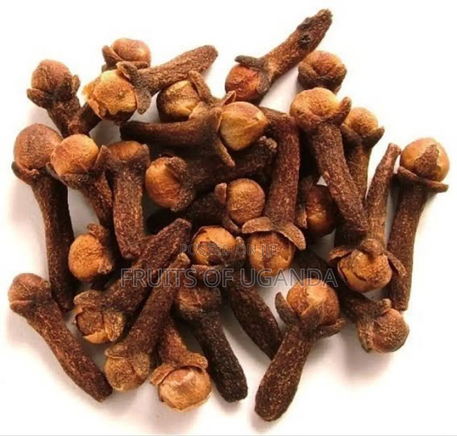 Zanzibar Cloves Tree Seedlings in Central Division - Feeds, Supplements ...