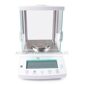 210 G X 0.1 Mg (0.0001 G) Analytical Balance in Central Division ...