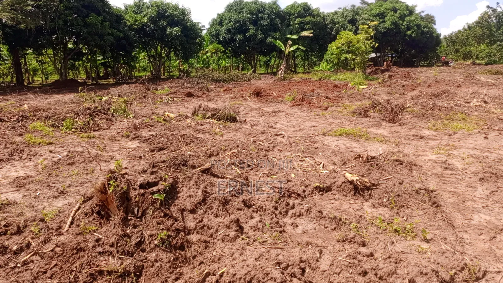 200 Titled Acres at Jjeza Mityana Road at 55m Each Sold Once in Muduma - Land & Plots for Sale ...