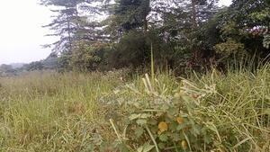 8 Acres of Land in Buwama Mpigi in Buwama - Land & Plots for Sale ...