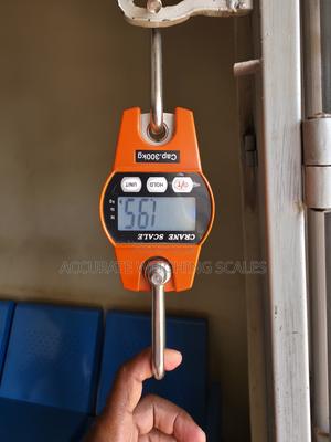 Crane Scale Price in Central Division - Retail & Store Equipment ...
