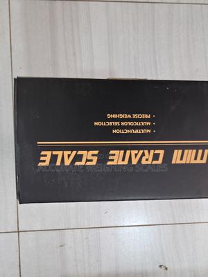 How to Calibrate a Crane Scale in Central Division - Retail & Store ...