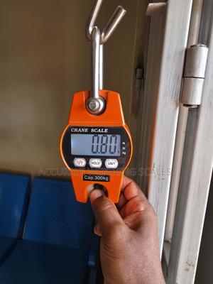 How to Calibrate Weighing Scale in Central Division - Retail & Store ...