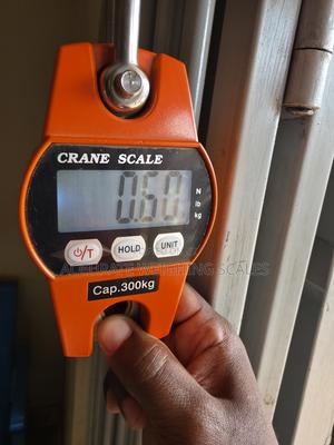 Calibration Crane Checklist Weighing Scale in Central Division - Retail ...