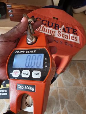 Sling Crane Scale in Central Division - Retail & Store Equipment ...