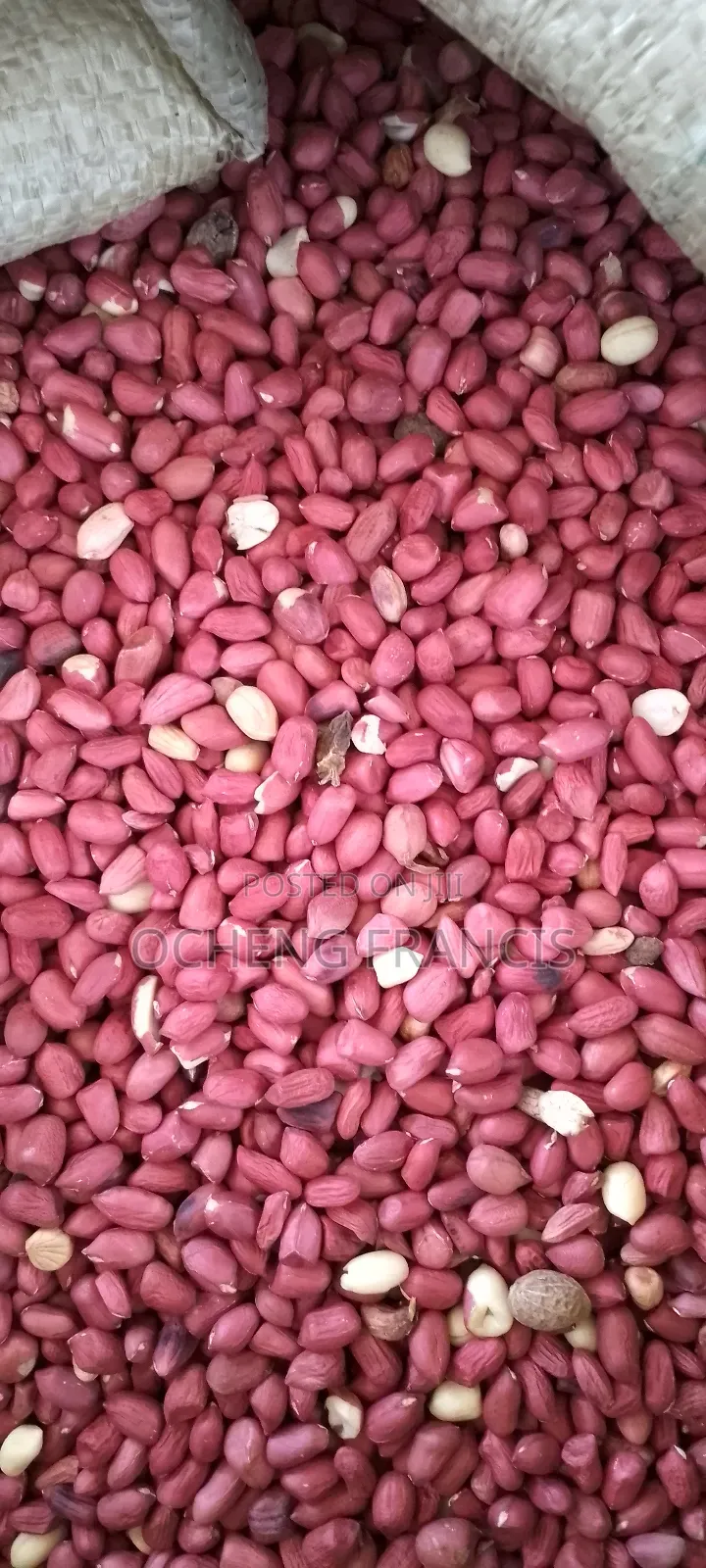 Red and Ground Nuts in Gulu - Feeds, Supplements & Seeds, Ocheng ...