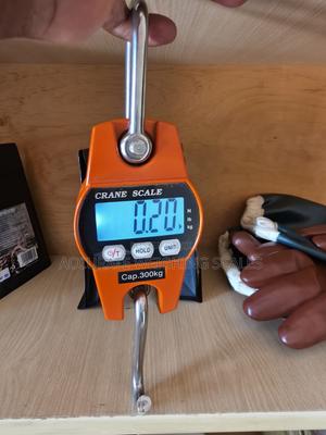 Seng Crane Weighing Scale in Central Division - Retail & Store ...