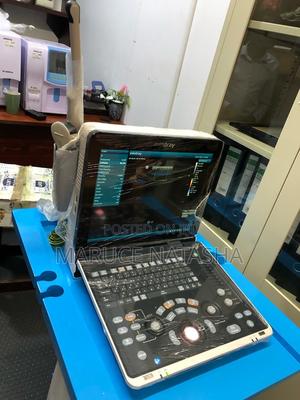 Mindray Portable Ultrasound Scan Machine With Color Doppler in Central ...