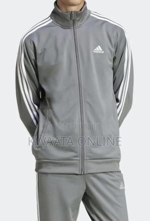 Tracksuit Poly Smooth Shiny Surface-All Colors in Central Division ...