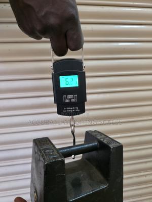 Gram Precision Luggage Scale in Central Division - Retail & Store ...