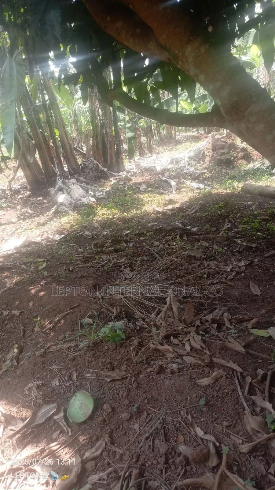 Xmas Hot Deal!!Cheap Plots in Mwera Magogo Masimbi 50×100 With a Title ...