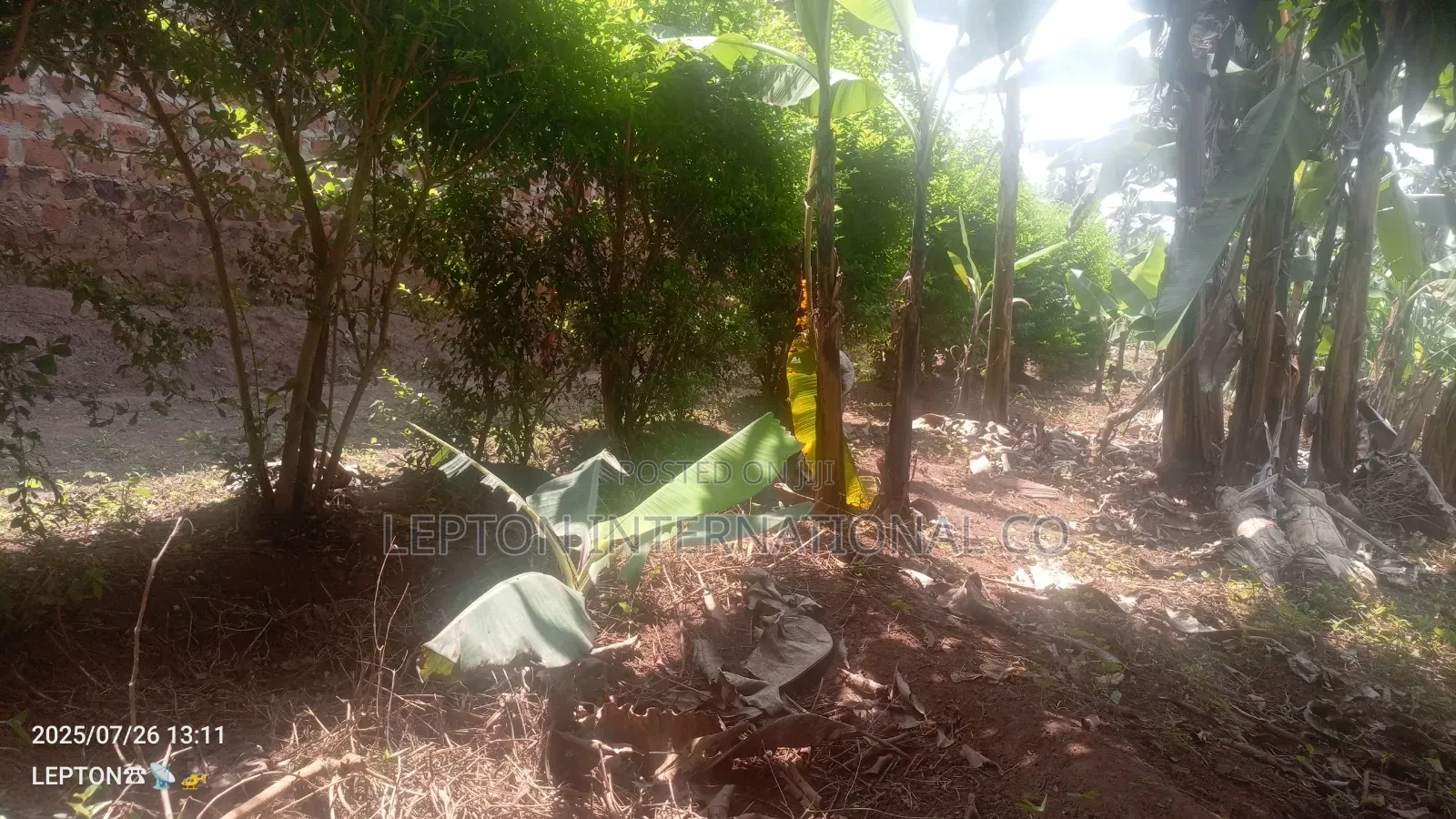 Xmas Hot Deal!!Cheap Plots in Mwera Magogo Masimbi 50×100 With a Title ...