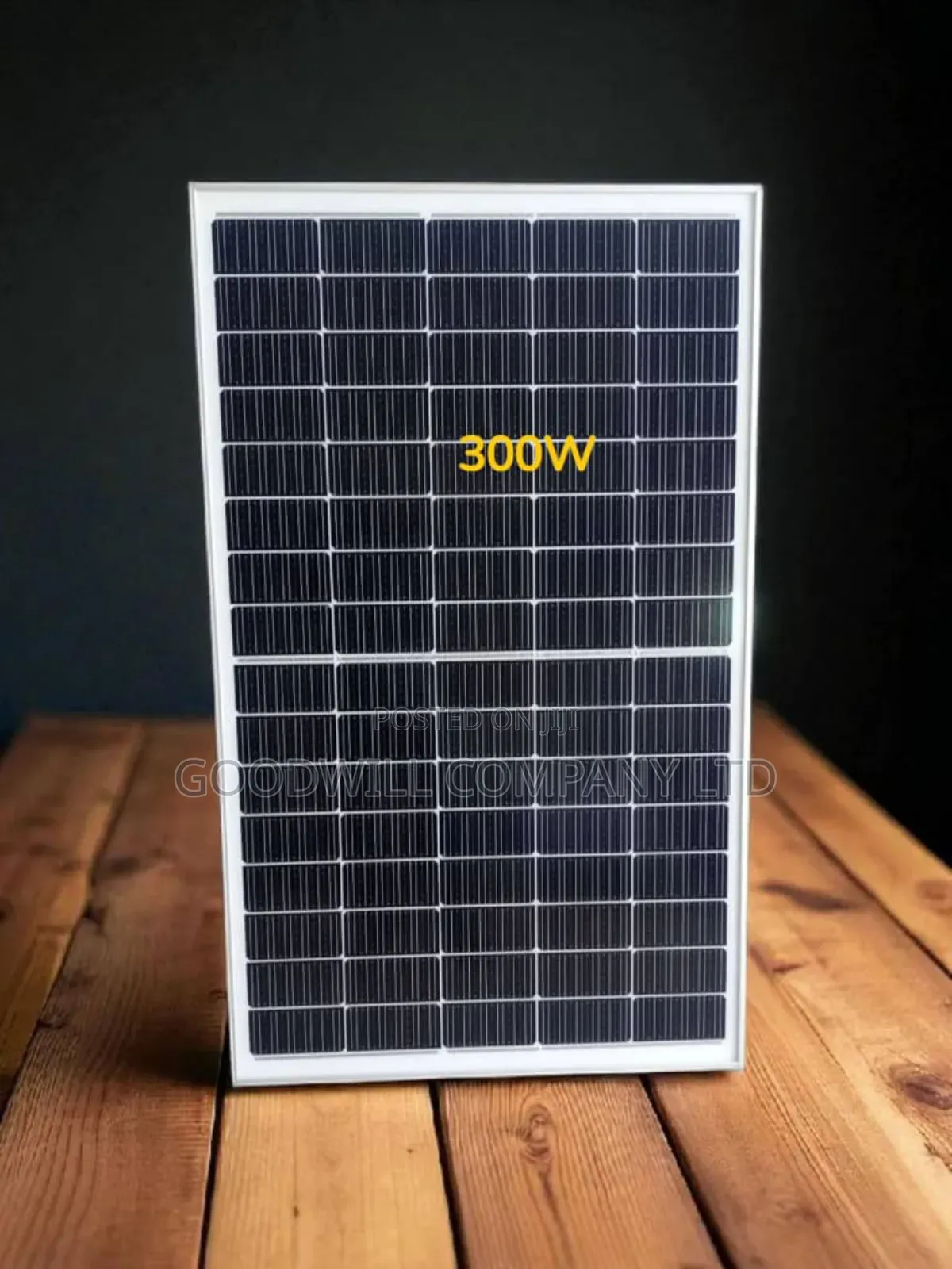 300w Mono Crystalline Solar Panel Green Energy in Central Division ...