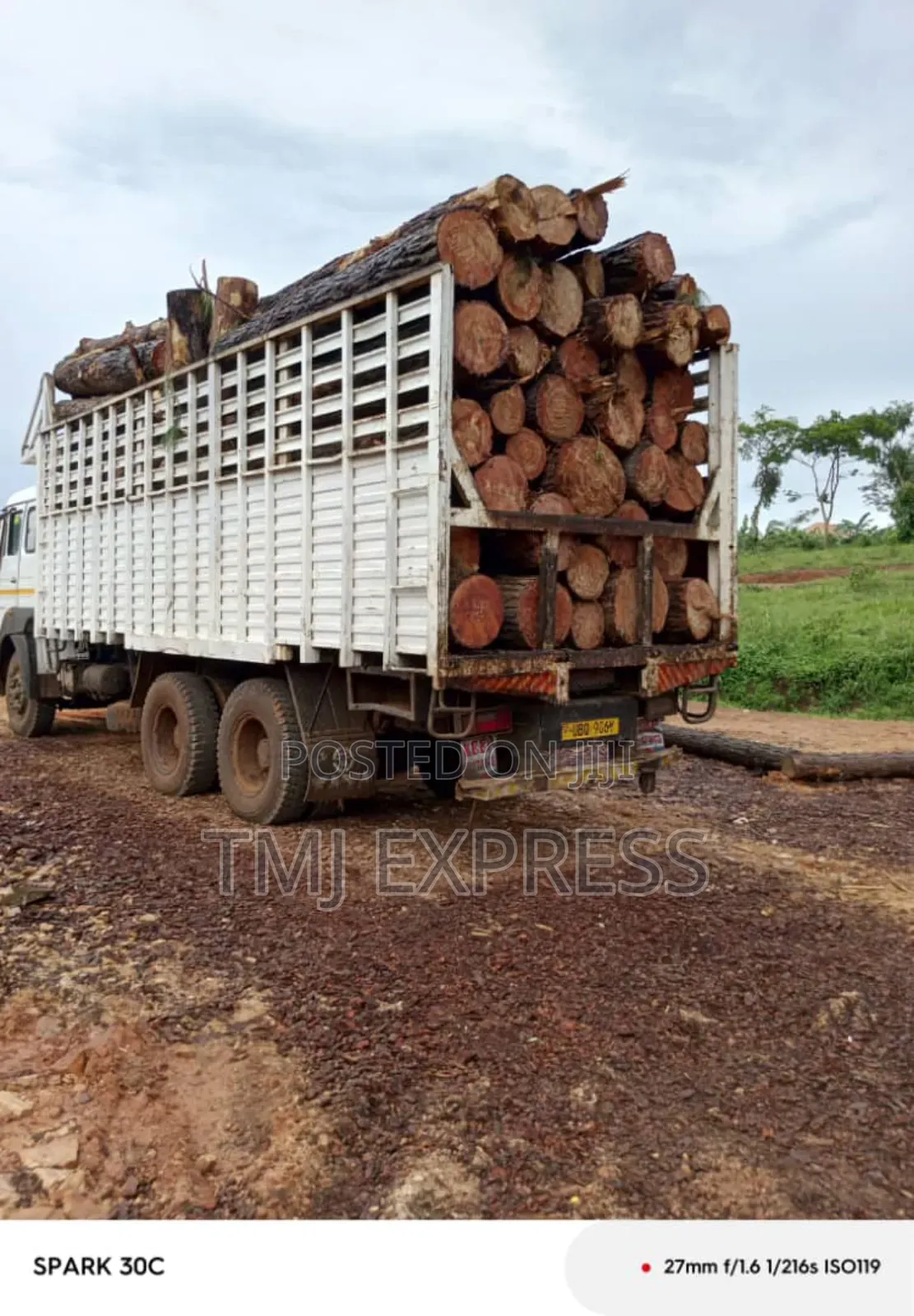 Pine Tree Logs Per Tonne in Nakawa - Furniture, Tmj Express Shop Ug ...