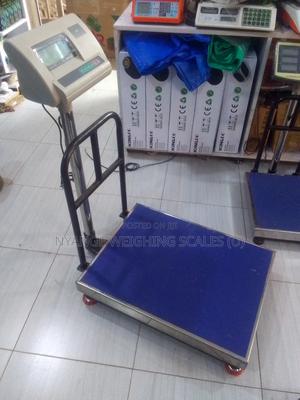 Retail and Store Weigh Scale 300kg Electronic Platform Weighing Scale ...