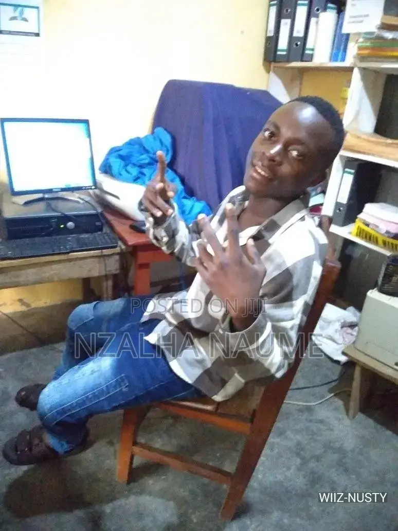 Mobile Money Agent in Kabalore - Customer Services CVs, Nzalha Naume ...