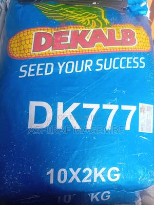 Dk 777 Hybrid Maize for sale - Ashiraf Magembe Price: USh 350,000 on ...