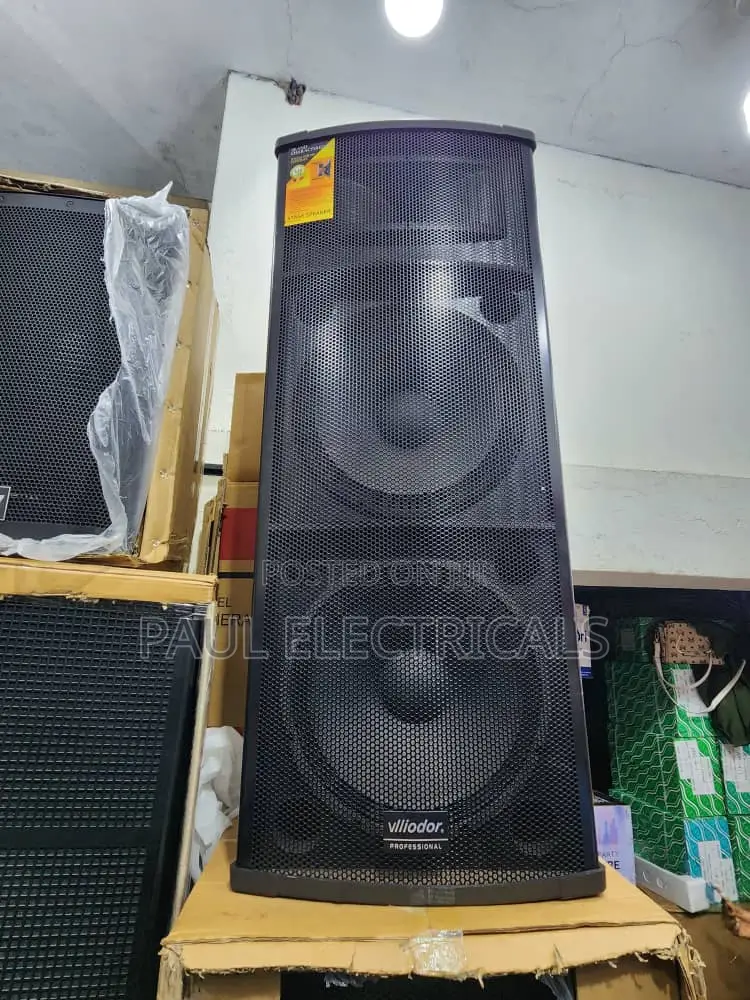 Vlliodor Full Range Speaker 15inches Dual in Central Division - Audio ...