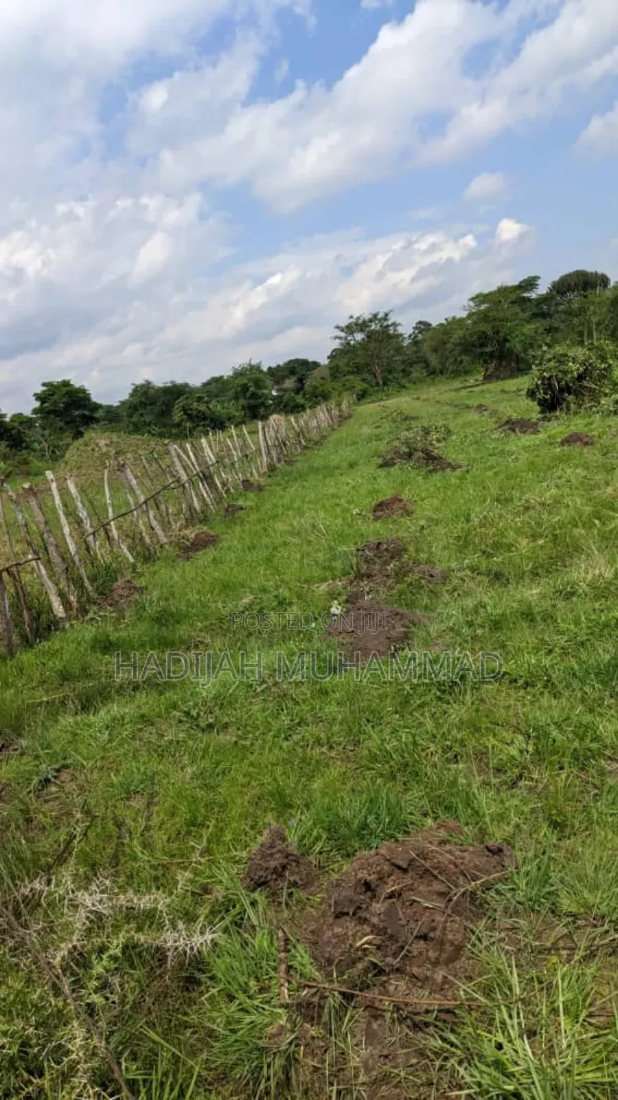 2 Acres of Land Not Titled for Sale at 10m Per Acre in Kapeeka Semuto ...
