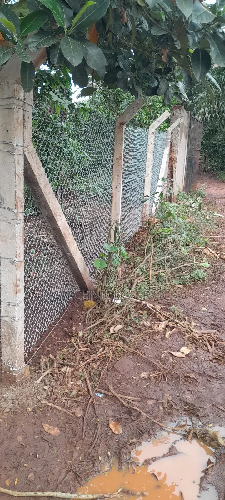 Chain Link Fencing in Central Division - Building & Trade Services ...