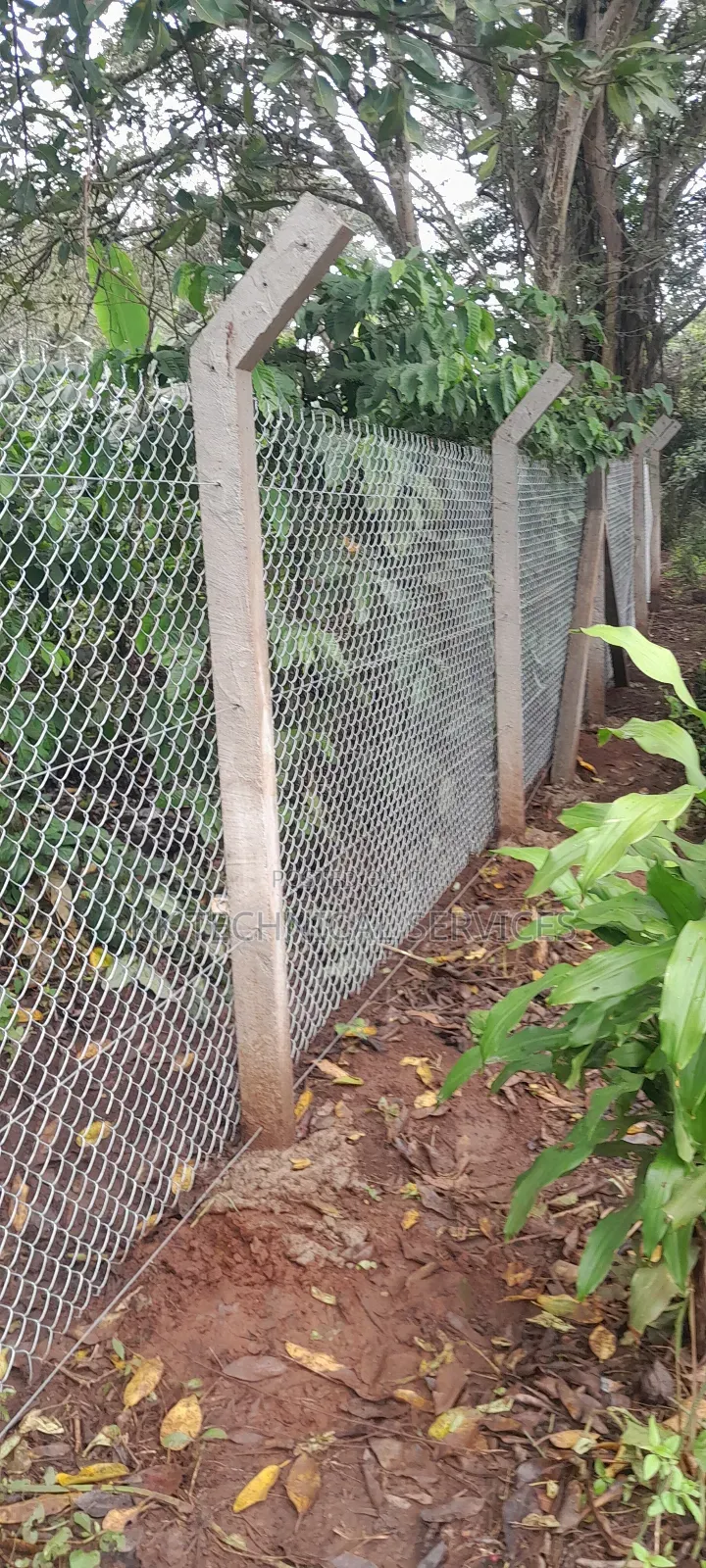 Chain Link Fencing in Central Division - Building & Trade Services ...